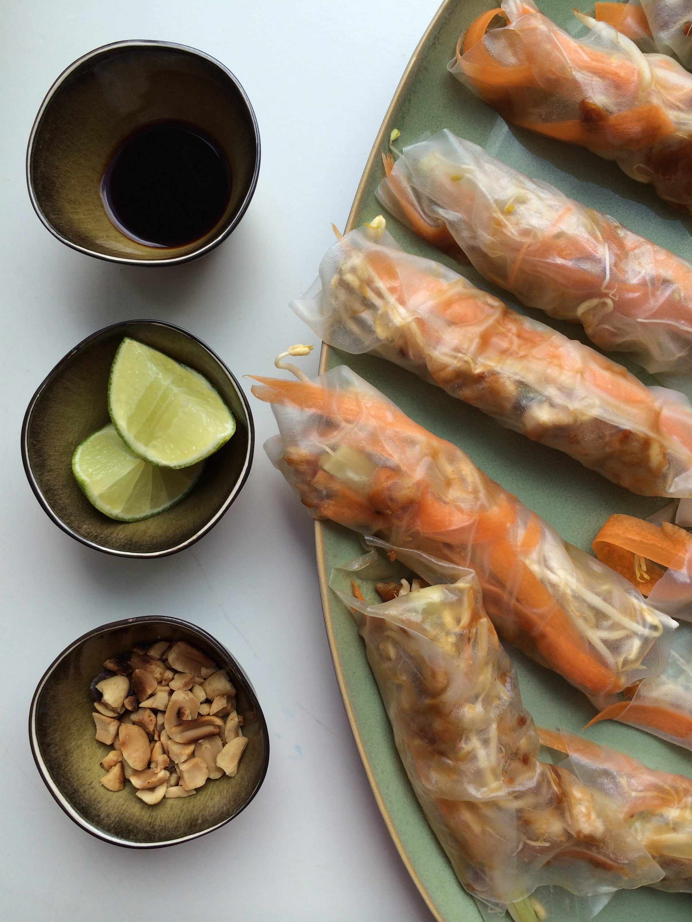 Easy Spring Rolls - a Dagny Ros recipe - Must Be Yummie